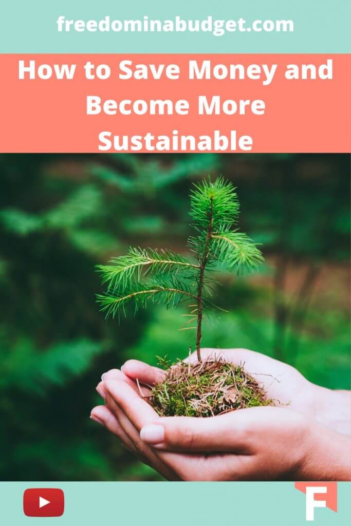 How to Save Money and Become More Sustainable – Freedom In A Budget