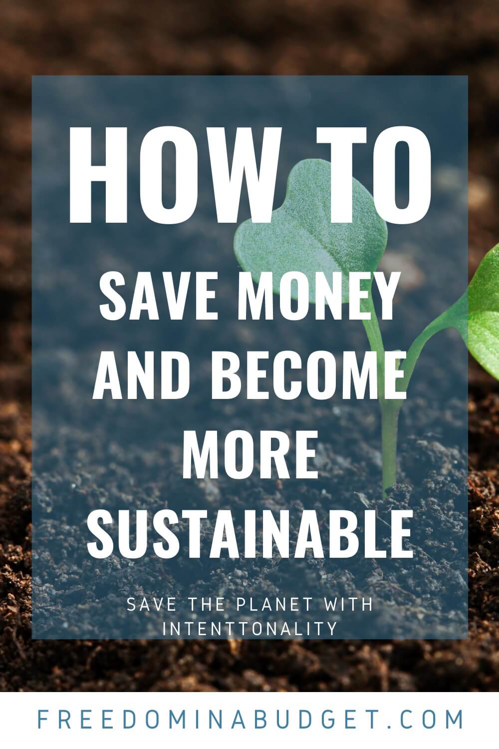 How to Save Money and Become More Sustainable – Freedom In A Budget