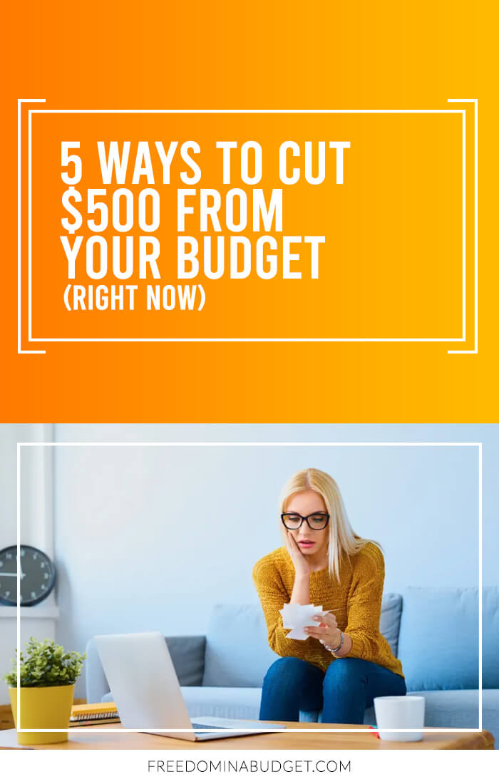 5 Ways to Cut $500 From Your Budget (Right Now) – Freedom In A Budget