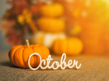 What To Budget For In October – Freedom In A Budget